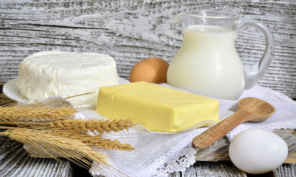 Malabar Formulas Super Complete Milk Digestant Lactose Intolerance